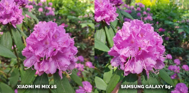 Jaký mobil fotí lépe? Srovnání Samsung Galaxy S9 vs. Xiaomi Mi Mix 2S