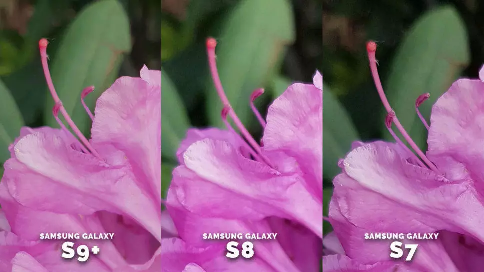 Jaký Samsung telefon fotí nejlépe? Srovnání Galaxy S7 vs S8 vs S9