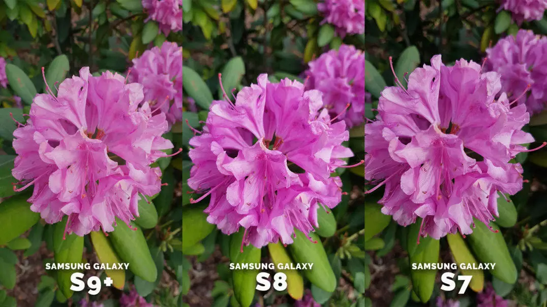 Jaký Samsung telefon fotí nejlépe? Srovnání Galaxy S7 vs S8 vs S9